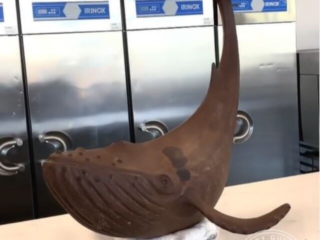 WATCH: Chef Crafts Giant 4 Kg Chocolate Whale in Viral Video - News18