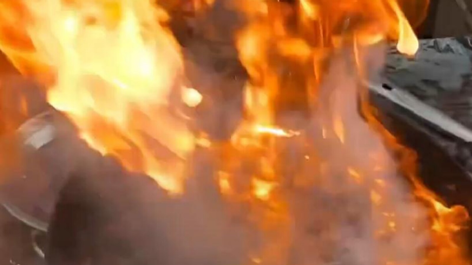 WATCH: Fire Momo is the New Addition to Indian Street Food and Desis ...