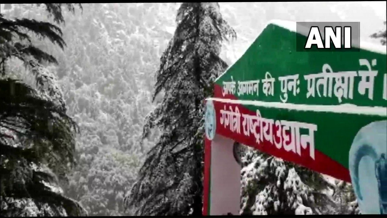 In Pics: Heavy Snowfall Paints Uttarakhand and Himachal Pradesh White ...