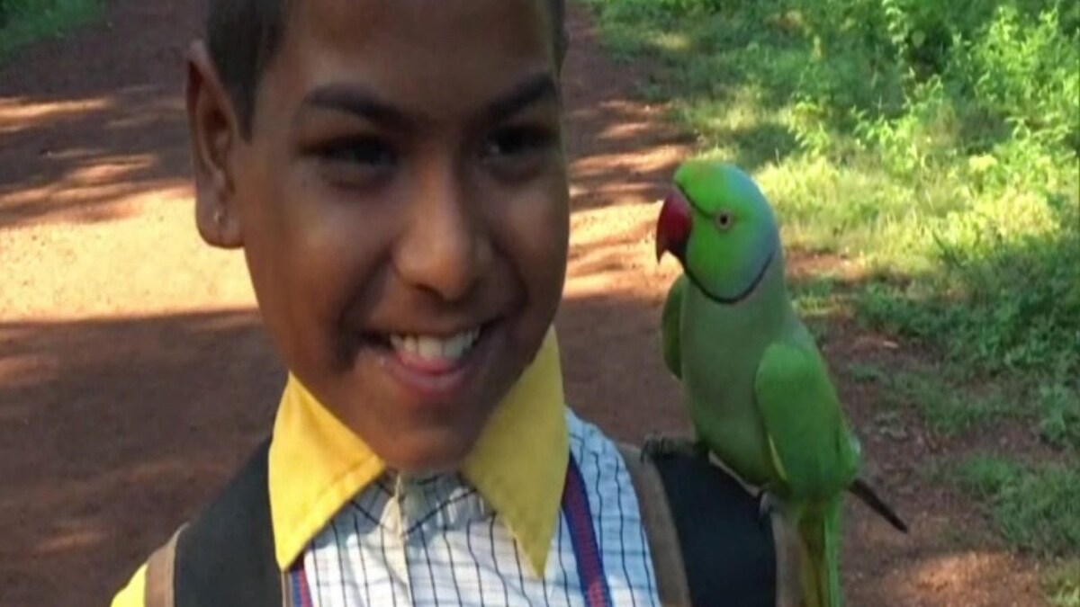 MP School Students Have a Special Winged-friend That Flies To Meet Them ...