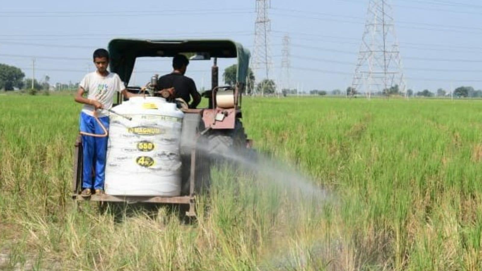 Delhi Environment Minister Rai Launches Drive to Spray Pusa Bio ...