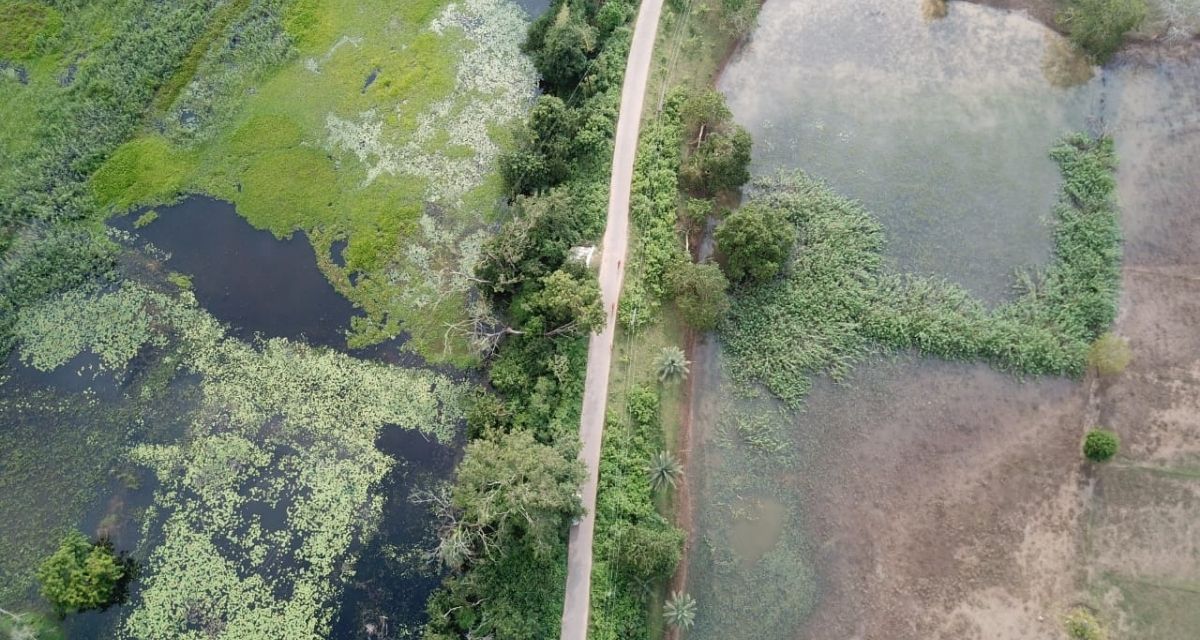 Hundreds of Villages in Odisha Languish at the Shores of the Dying ...