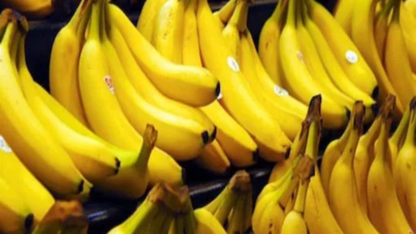 Aussie Labourer Falls From BananaTree; Sues Company, Gets Rs 4 Cr ...