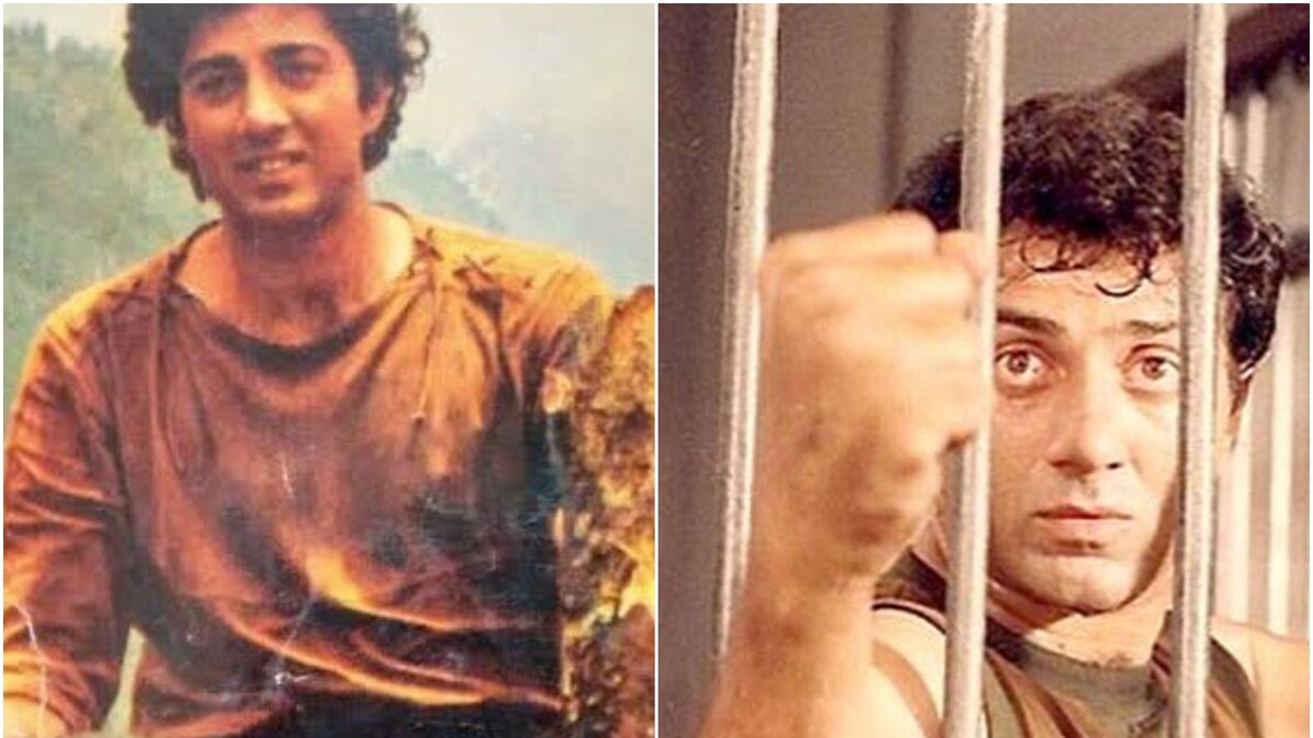 Sunny Deol Turns 66: Movies of the Actor You Need to Watch in Lifetime ...