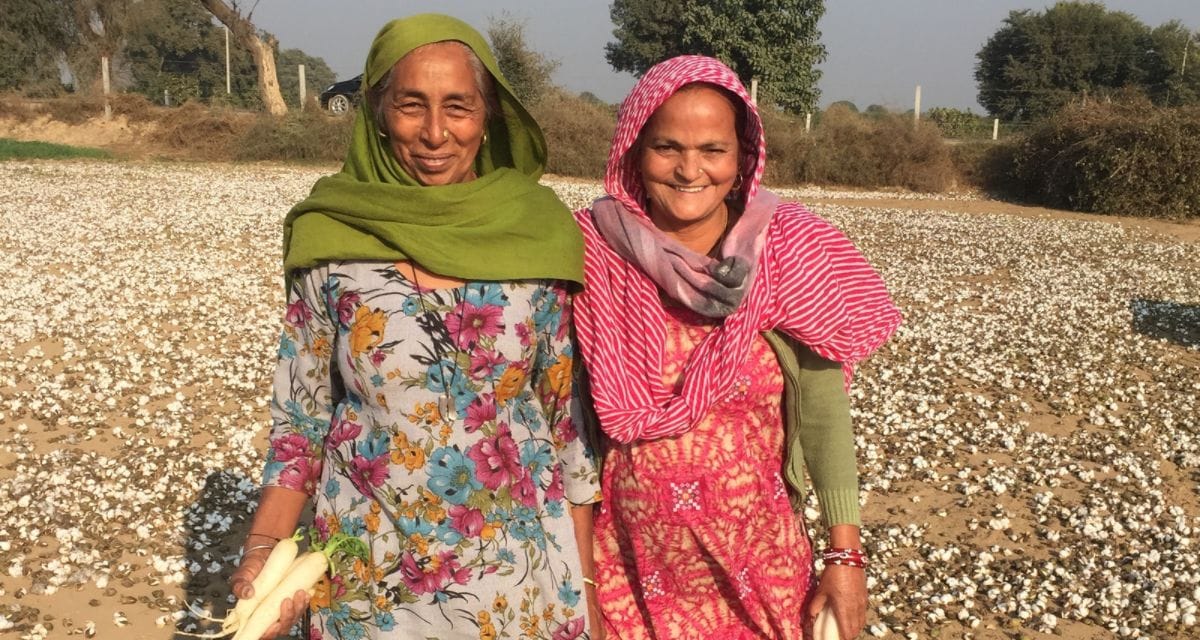 A Long Tradition of Eco-Sensitive Agriculture Helps Bishnois Preserve ...