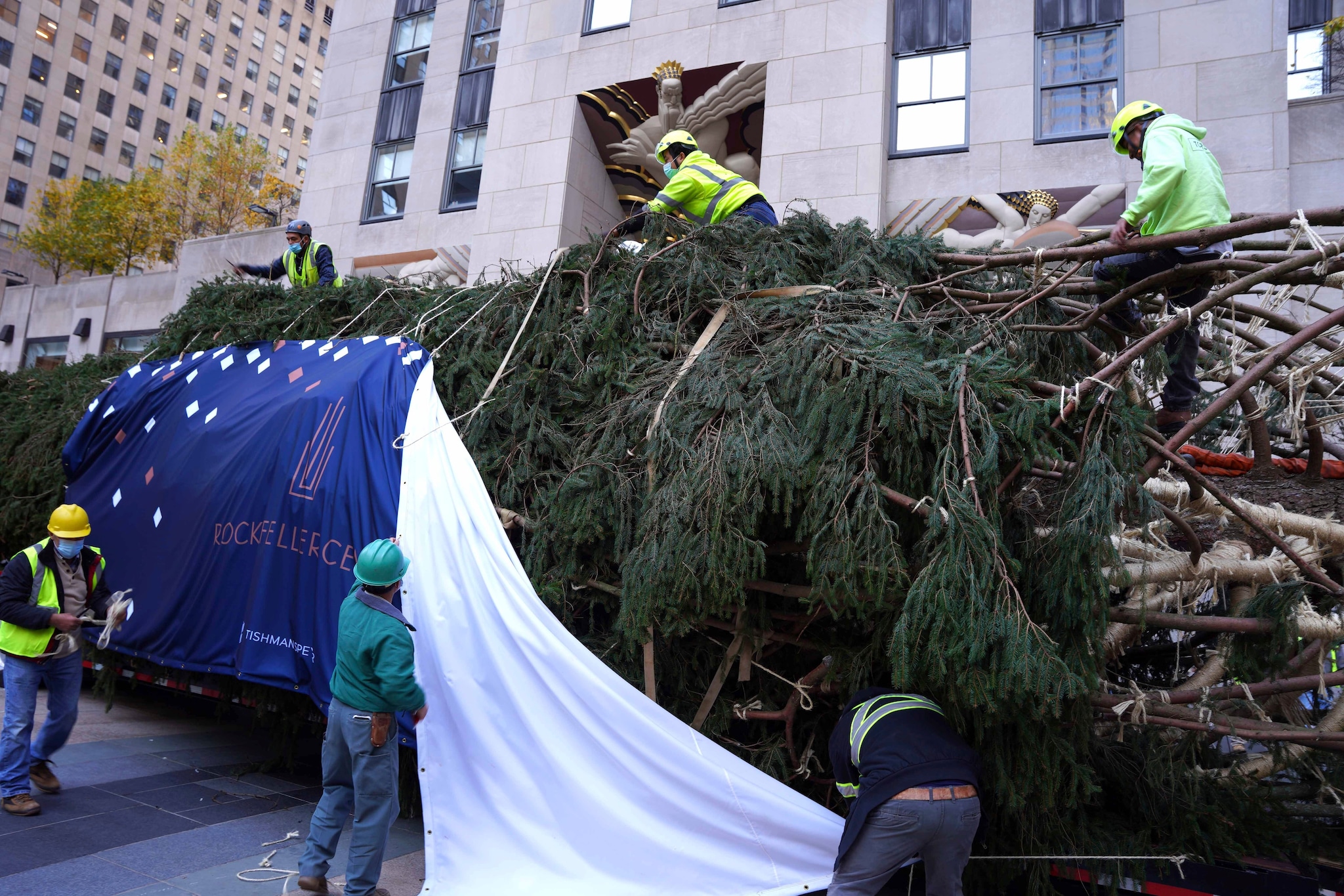 In Photos: 79-Foot Rockefeller Christmas Tree Brings Festive Cheer to ...
