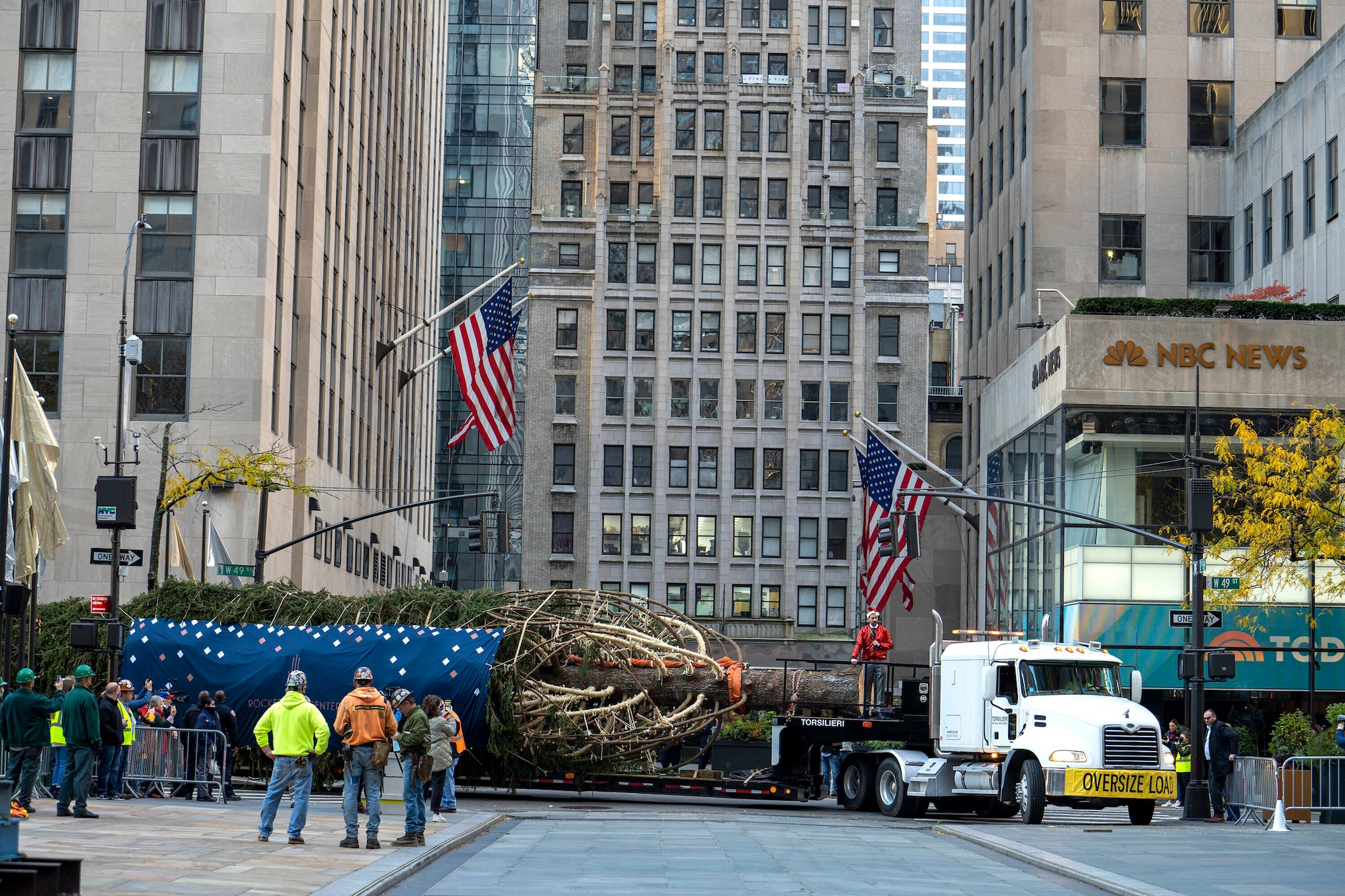 In Photos: 79-Foot Rockefeller Christmas Tree Brings Festive Cheer to ...