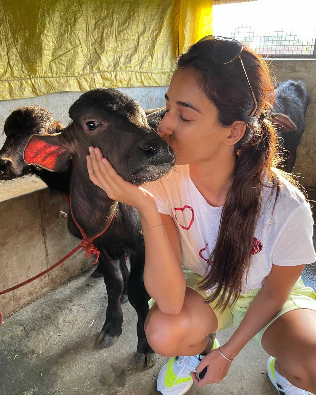 Disha Patani Rings In Cuddle Season With Her Pets, See The Diva's ...