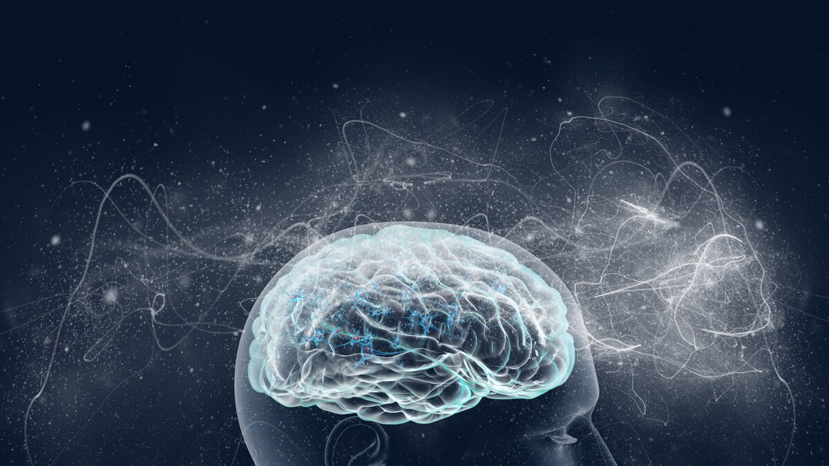 Salt Affects Blood Flow in Brain That Causes Alzheimer’s, Here’s Why ...