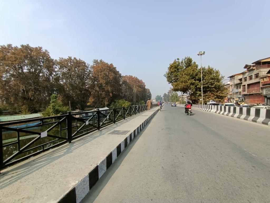 Arrival of Winters in Kashmir: Majestic Chinar Trees Add Beauty to The ...