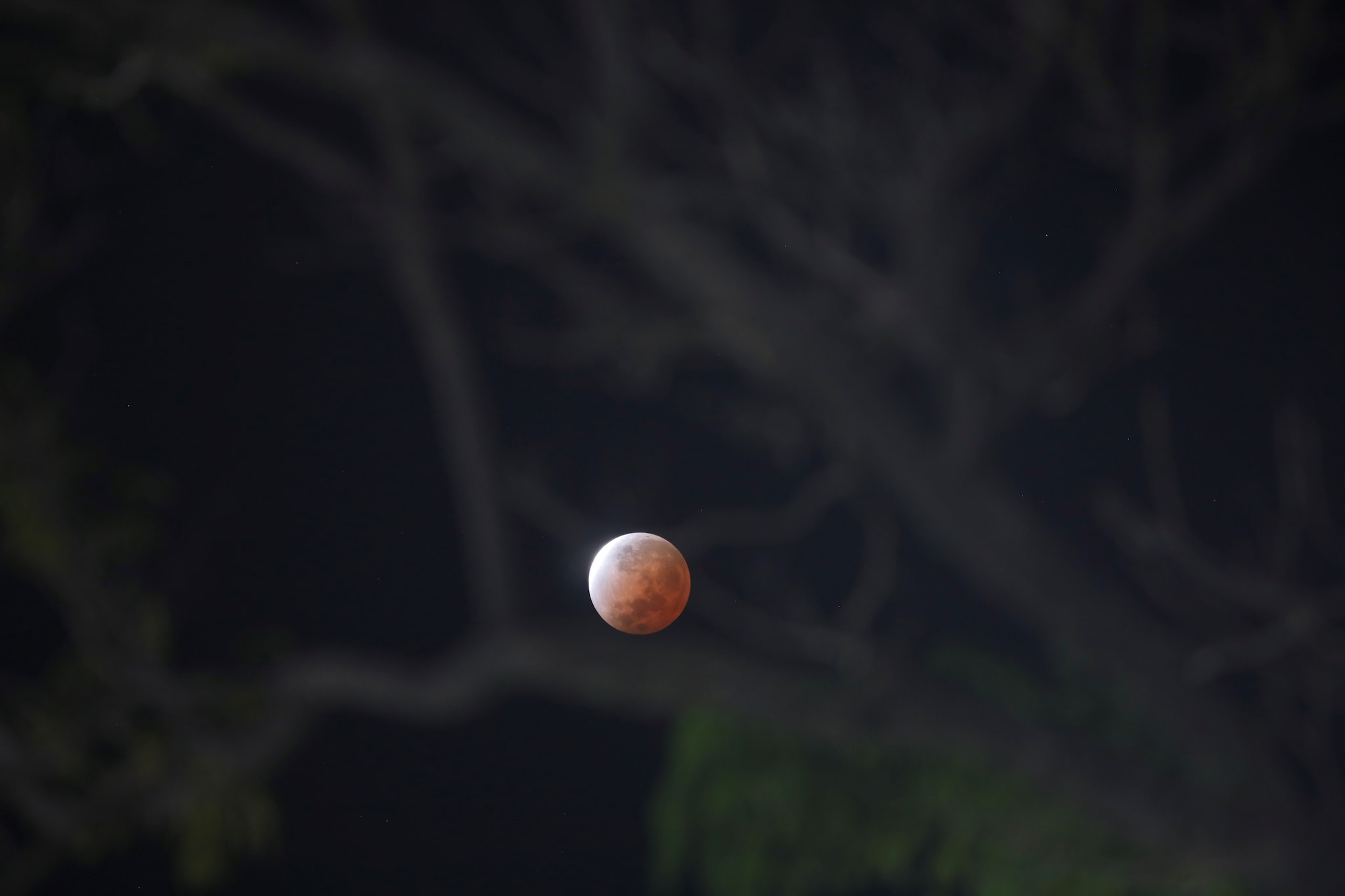 Lunar Eclipse 2021 LIVE Updates: Check Images of Chandra Grahan from ...