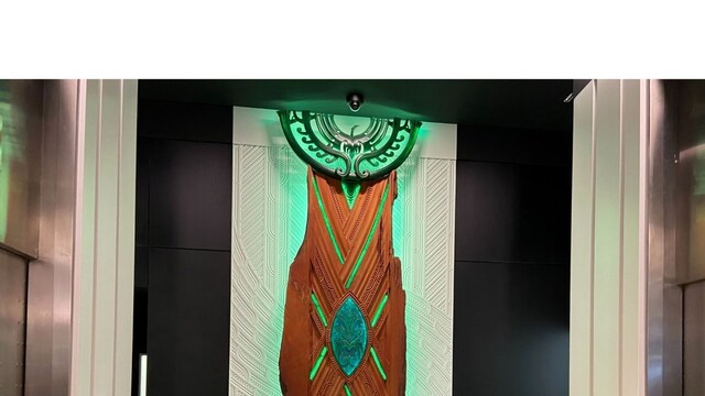 Hawks, Doves and Kōtuku: How Māori Culture is Changing New Zealand's ...