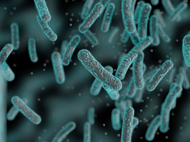 New Study Sheds Light on Extent of Microbial Life and 'Deep Biosphere ...