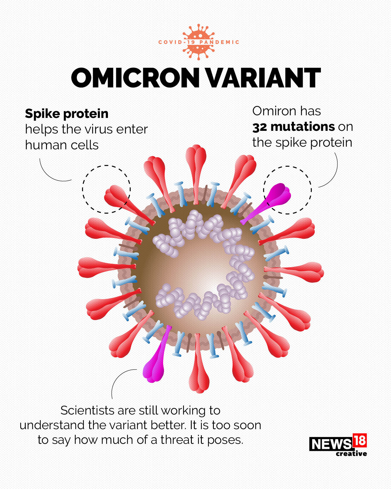 In Pics | All About New Covid-19 Variant Omicron That Has Sparked ...