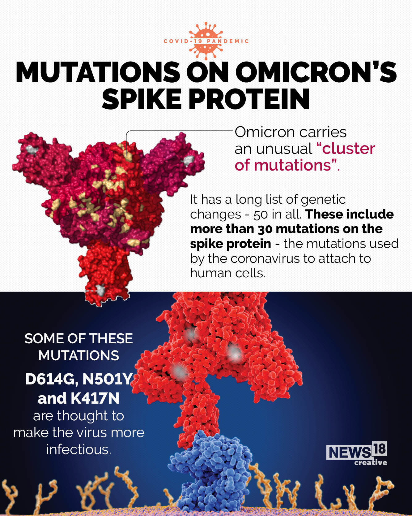 In Pics | All About New Covid-19 Variant Omicron That Has Sparked ...