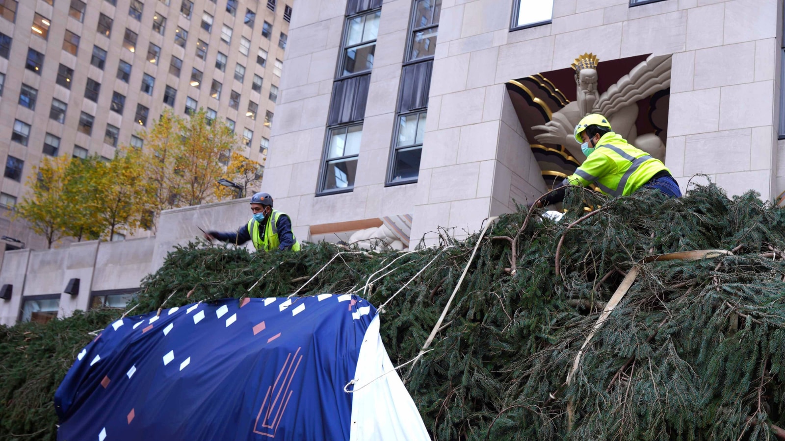 In Photos: 79-Foot Rockefeller Christmas Tree Brings Festive Cheer to ...