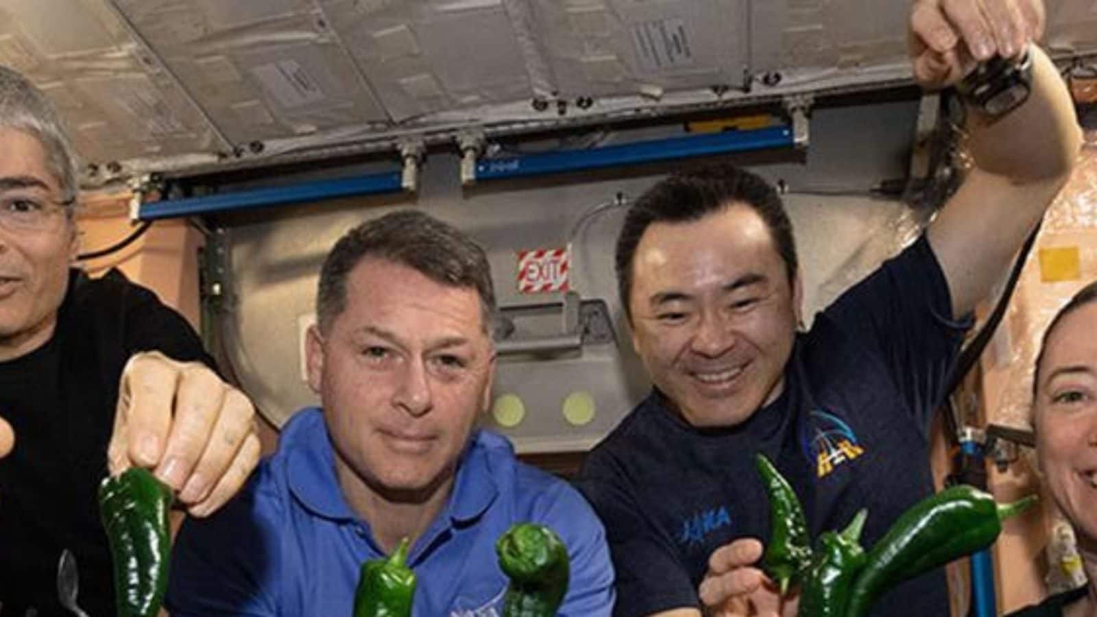 NASA Astronauts Stuck Wearing Diapers after SpaceX Toilet Breaks Down ...