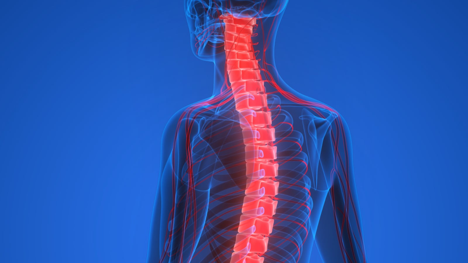 'Dancing Molecules' Could Repair Spinal Cord Injuries With a Single ...