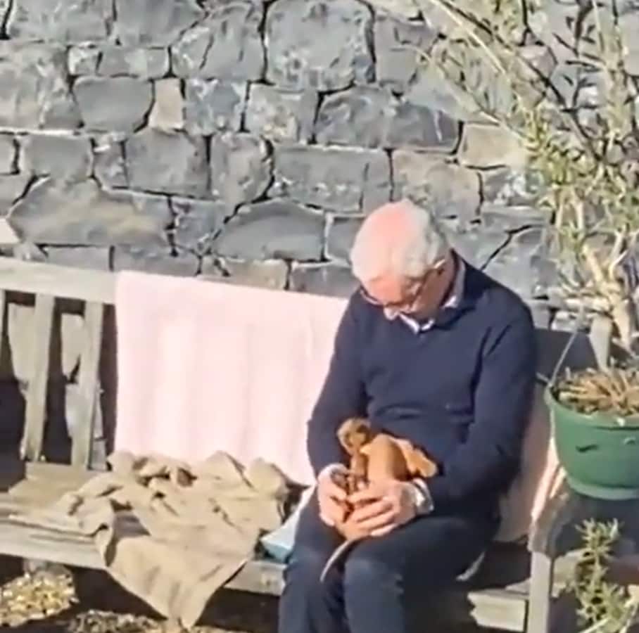 WATCH: Steve Martin Reacts to Video of His Own Doppelganger Petting a ...