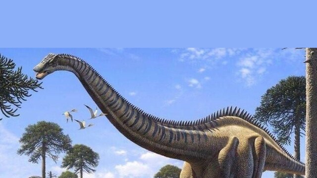Palaeontologists Discover Longest-ever Dinosaur 'Supersaurus' | Buzz ...