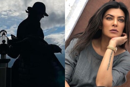 Sushmita Sen Feels 'Reborn' on 46th Birthday: 'I Completed Aarya 2 and ...