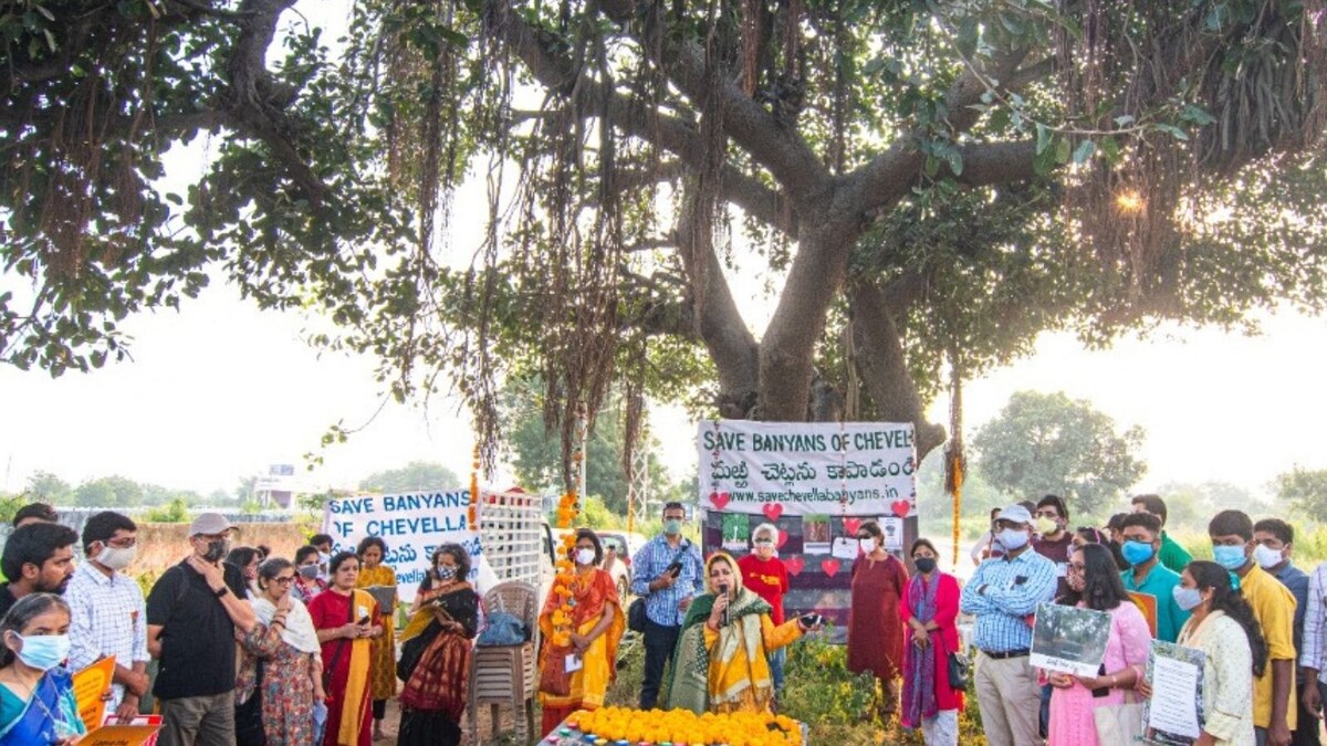 This is Why Nature Lovers Celebrated Diwali With 1,100 Banyan Trees ...