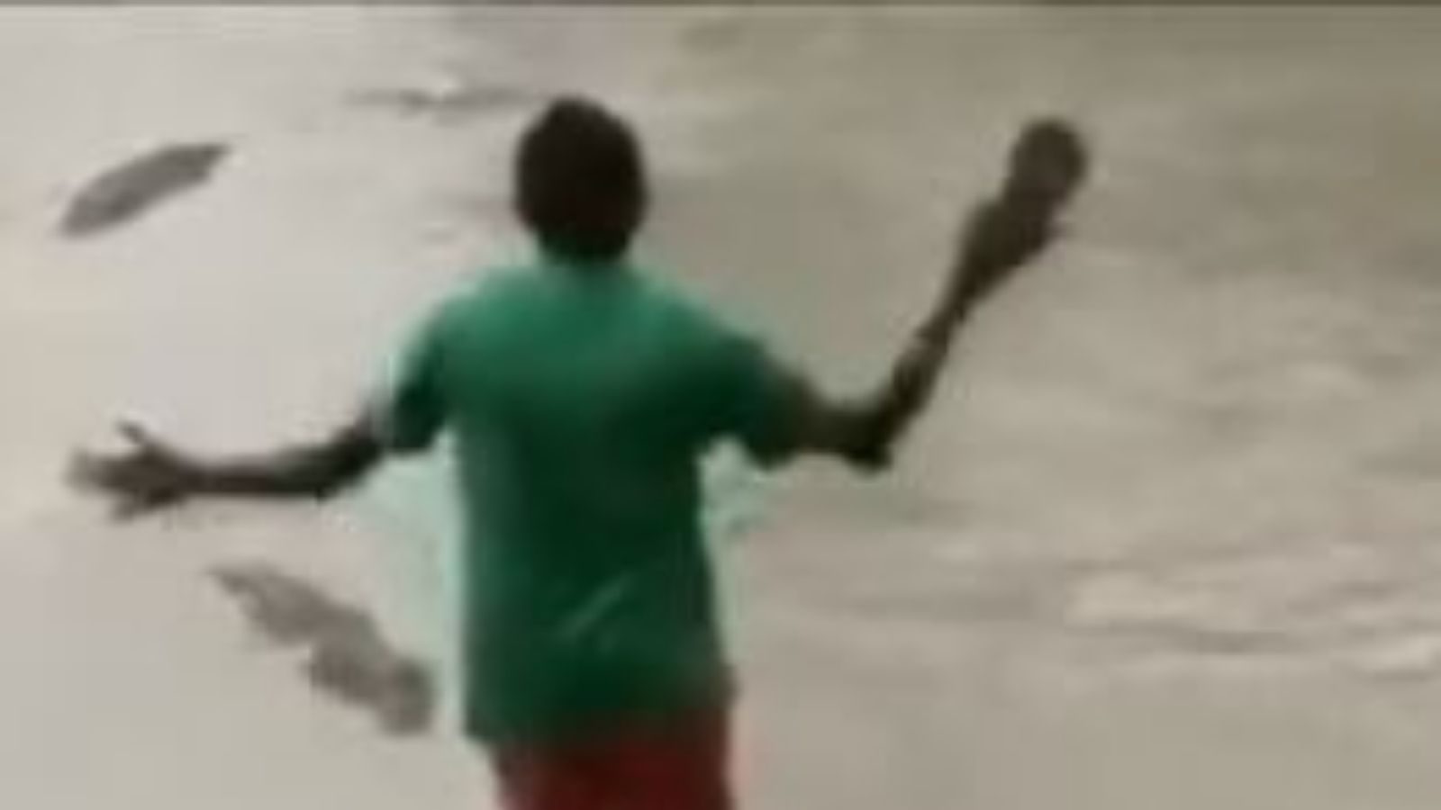 Woman Scares Off Crocodile With 'Chappal' and Every Desi Kid Related ...