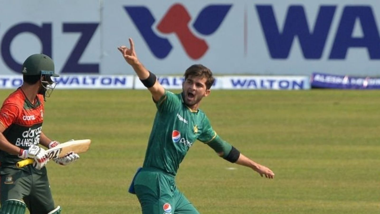 Shaheen Shah Afridi Becomes Joint Leading Wicket Taker In T20 Powerplay