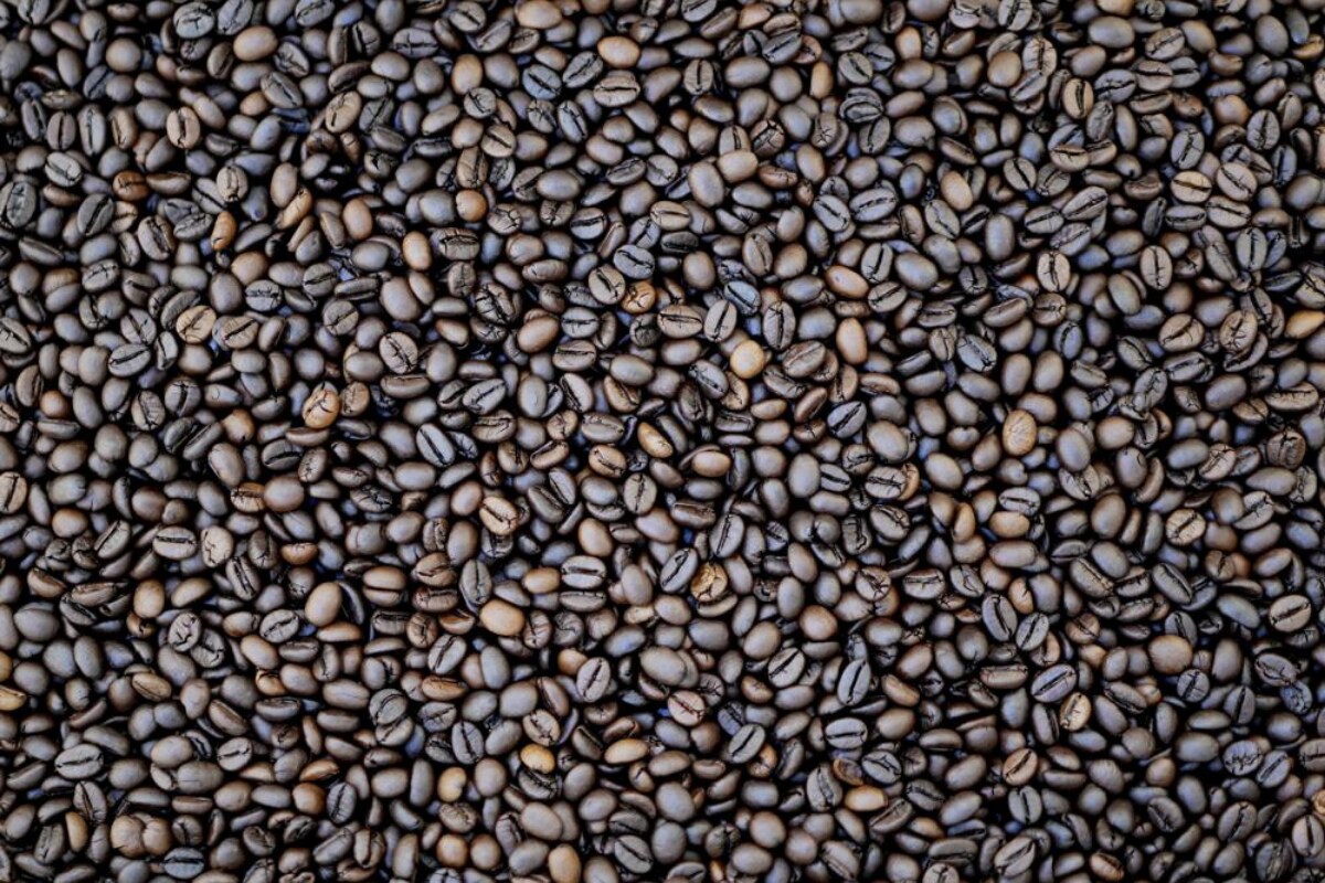 In Photos: Italian Engineers Device Eco-friendly Way to Roast Coffee ...