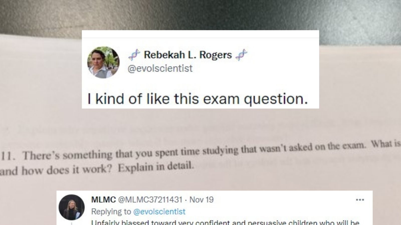 Viral Exam Question That Lets Kids Write on Topic of Choice Has the ...