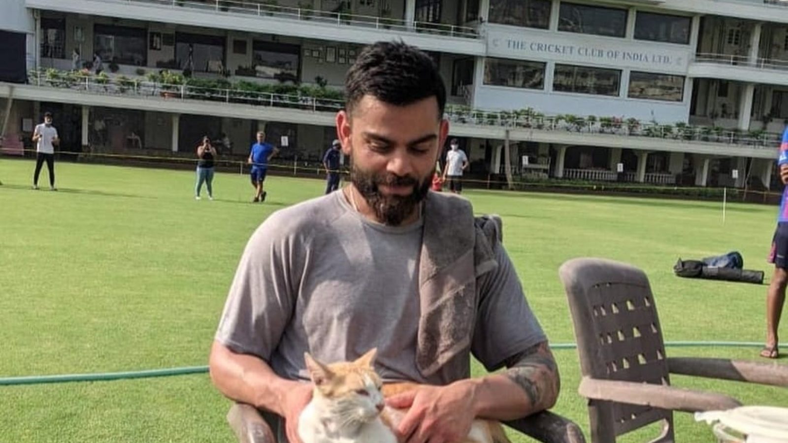 Virat Kohli Visited by a 'Cool Cat' During Practice Session | News News ...