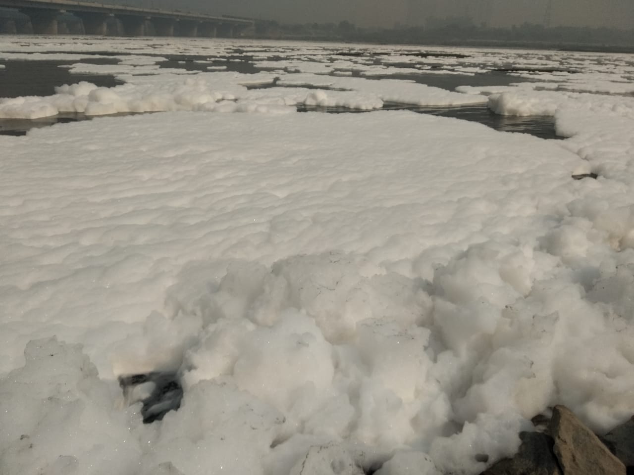Toxic White Foam in Yamuna as Devotees Take Dip to Mark Day 1 of Chhath ...