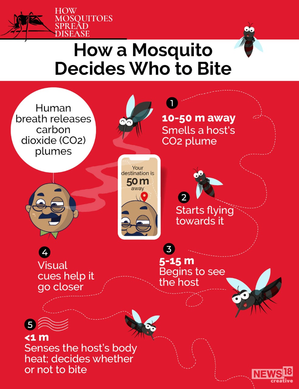 How Mosquitoes Spread Diseases, Can Cause Long-term Harm | IN PHOTOS ...