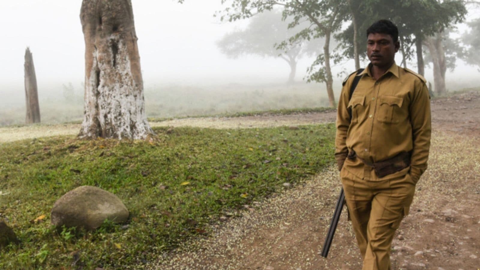 Chhattisgarh Forest Department Recruitment 2021: Applications Open for ...