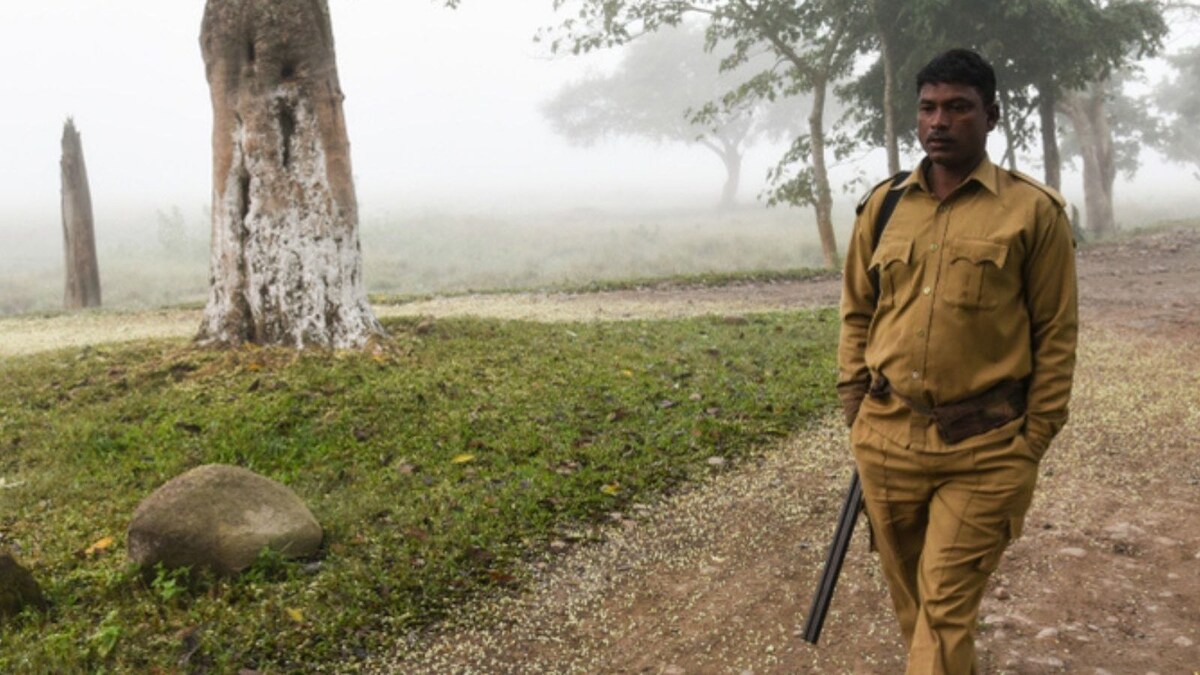 Chhattisgarh Forest Department Recruitment 2021: Applications Open for ...