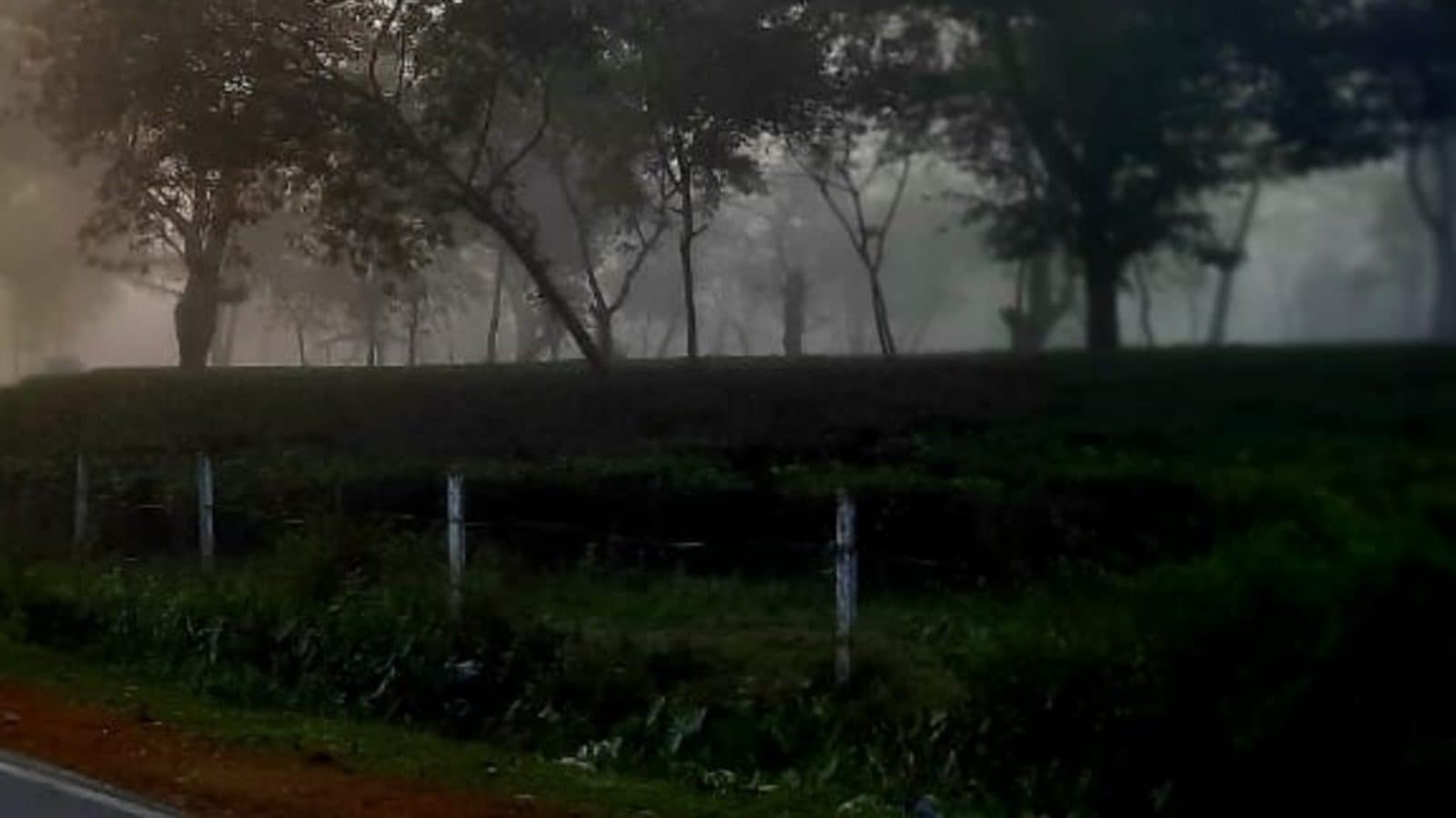 With Congress Fortunes Going South in Northeast, Will It Be 'Catch-22 ...