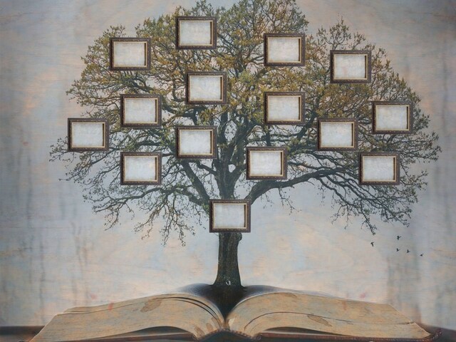 Researchers in UK University Find World's Oldest Family Tree Using DNA ...