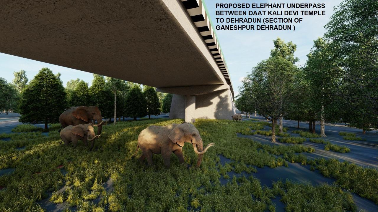 'Elephant Underpass': The U'khand Projects, Likely to Set Record, will ...