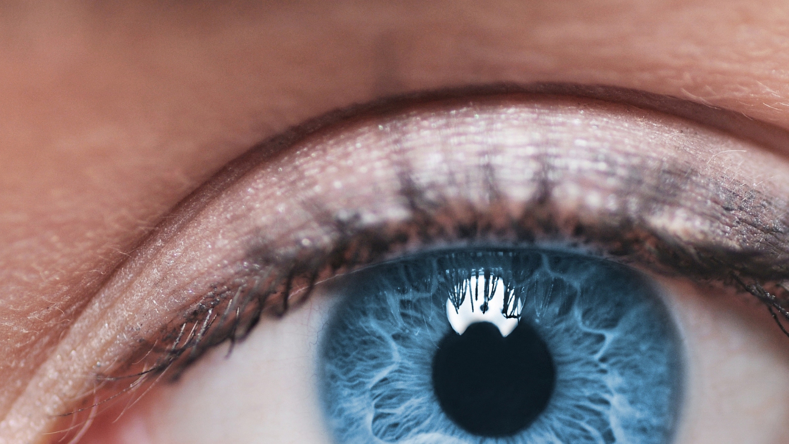 Australian Researchers Create Bionic Eye That Restores Vision in ...