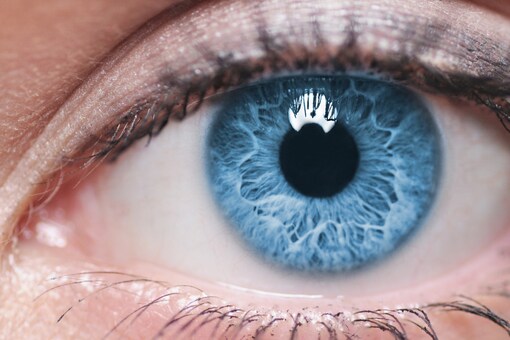 Australian Researchers Create Bionic Eye That Restores Vision in ...
