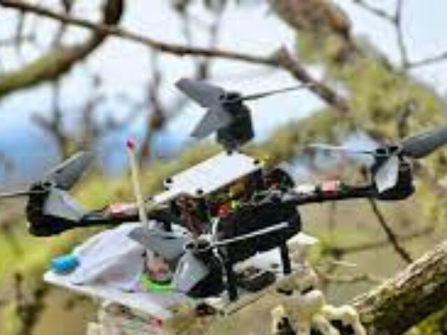 Scientists Create Flying Bird Bot That Can Perch, Catch Objects - News18
