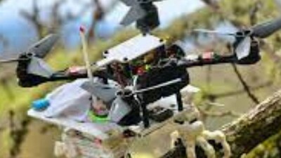 Scientists Create Flying Bird Bot That Can Perch, Catch Objects | Buzz ...