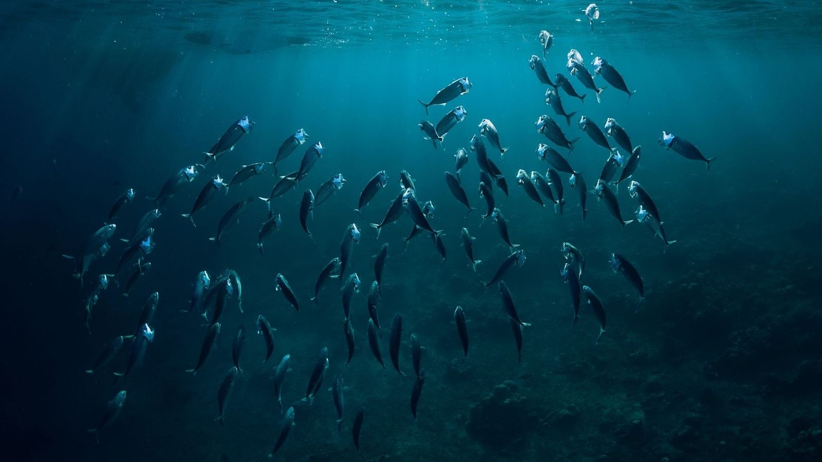 India’s First Manned Mission into Deep Sea to be Launched in 2024 ...