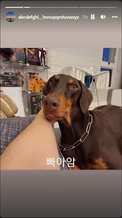 BTS: Jungkook Plays with Pet Doberman Bam, Shares Mirror Selfie with V ...