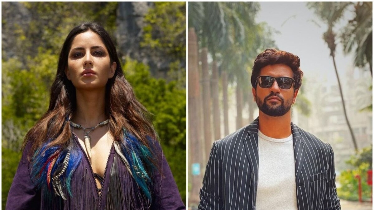 Katrina Kaif and Vicky Kaushal Wedding: Actress' Journey From Being ...