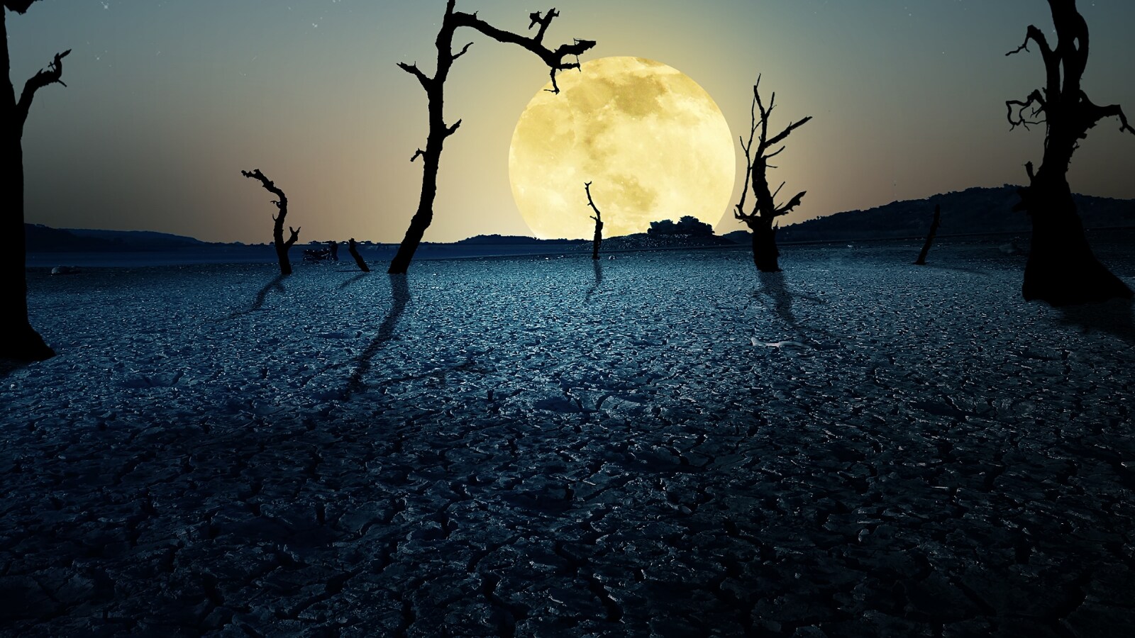 Madhya Pradesh Man Gifts Son Acre of Land on Moon, But is it Really ...