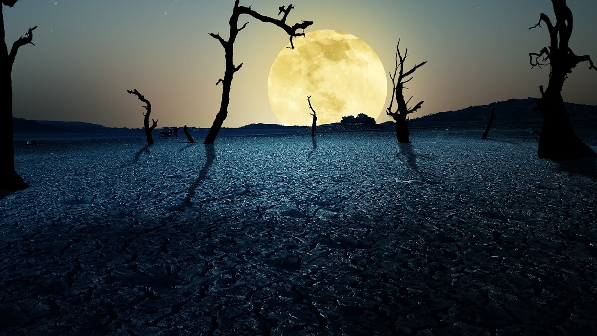 Madhya Pradesh Man Gifts Son Acre of Land on Moon, But is it Really ...