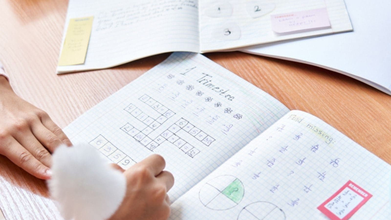 National Mathematics Day 2021: 67% Students Have Problems Studying Math ...