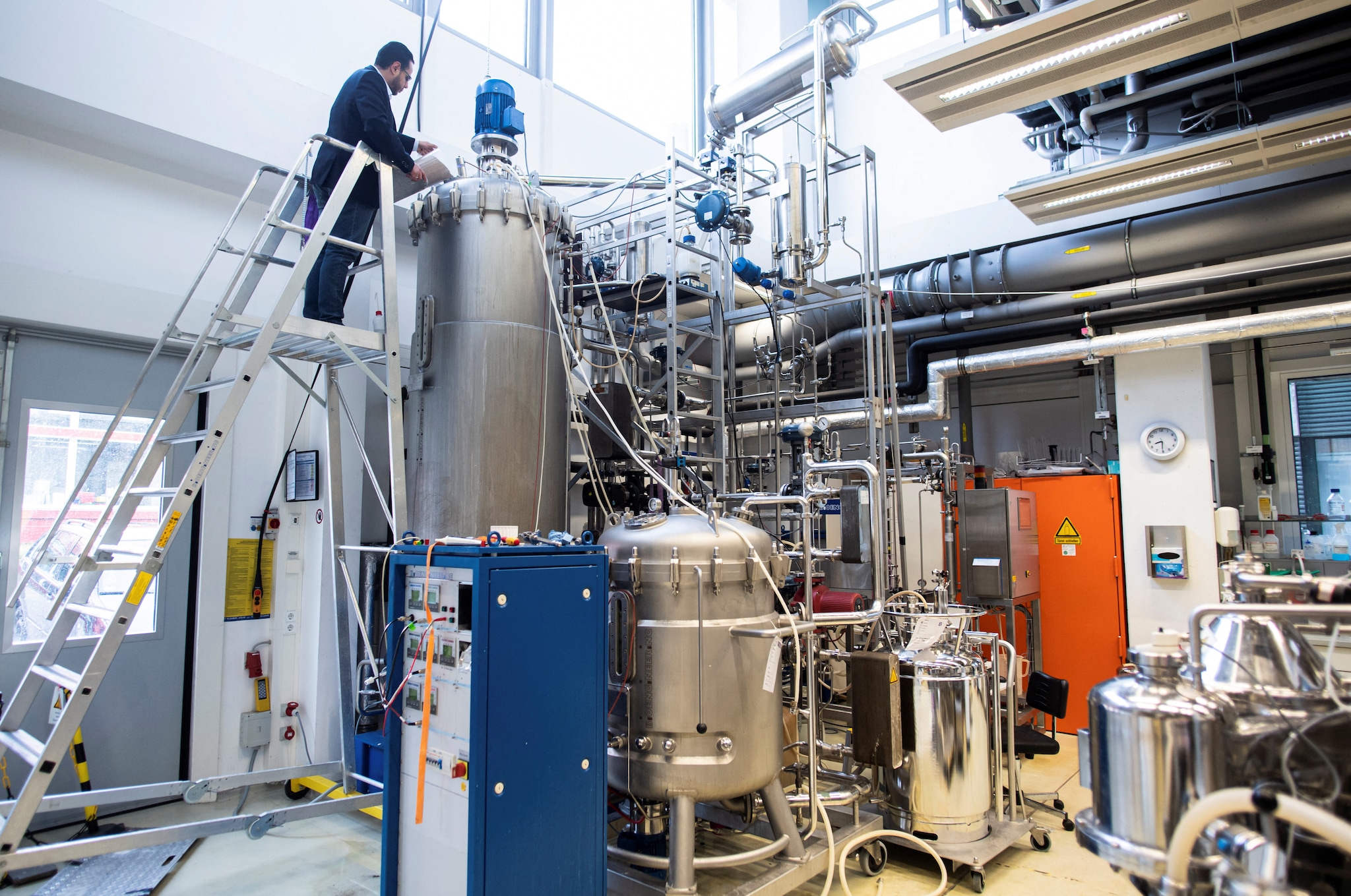 In Photos: German Baker Dishes Out Desserts Made of Algae for Christmas This Year - News18