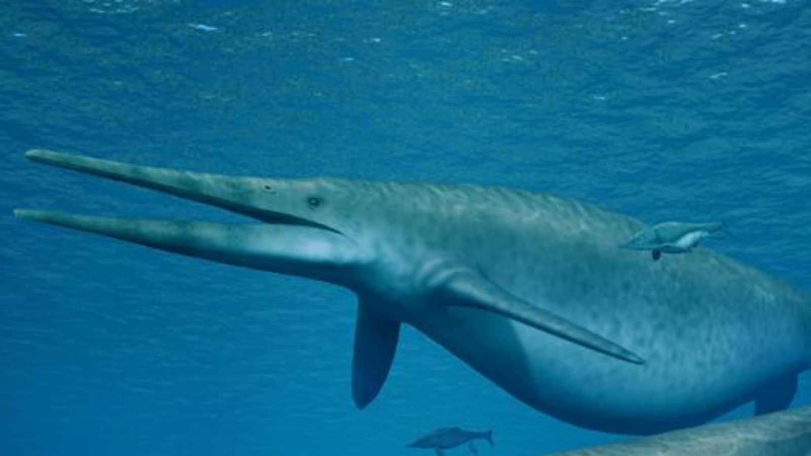 This Ancient Sea Reptile Evolved into Gigantic Size in Just 2.5 Million ...
